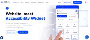 In-depth review of UserWay Accessibility Provider in 2025
